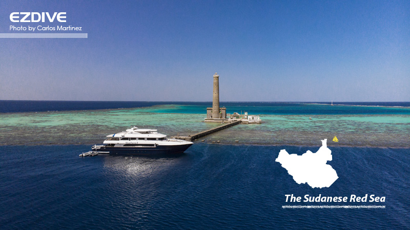 The Sudanese Red Sea – EZDIVE．易潛雙語潛水雜誌．易潜双语潜水杂志