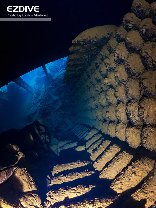 The Sudanese Red Sea – EZDIVE．易潛雙語潛水雜誌．易潜双语潜水杂志