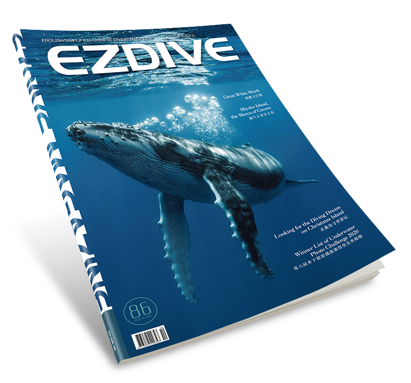 EZDIVE Diving Magazine ISSUE #86 – EZDIVE．易潛雙語潛水雜誌．易潜双语潜水杂志
