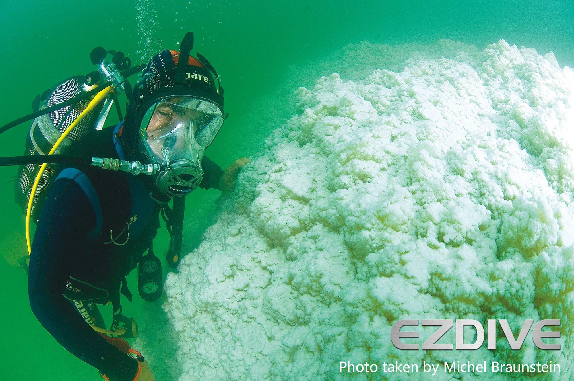 Beneath the Salt : A Deep Dive into the Dead Sea’s Alien World – EZDIVE ...